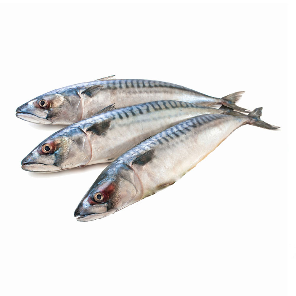 SABAK FISH COLD / ត្រីសាបាក់ក្លាសេ (Around 500g)