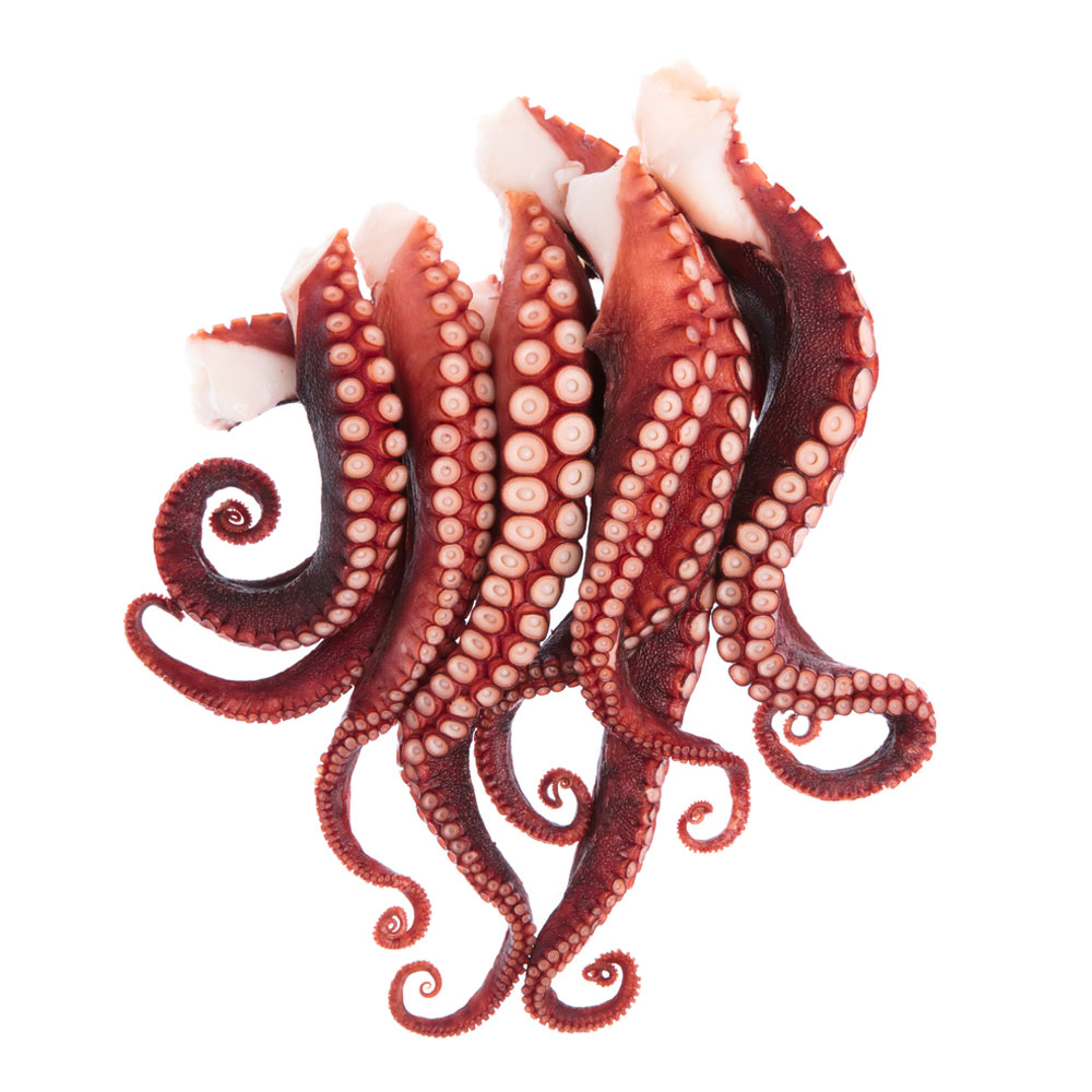 Gaint Squid Hand / ដៃមឹកយក្ស (Around 500g)