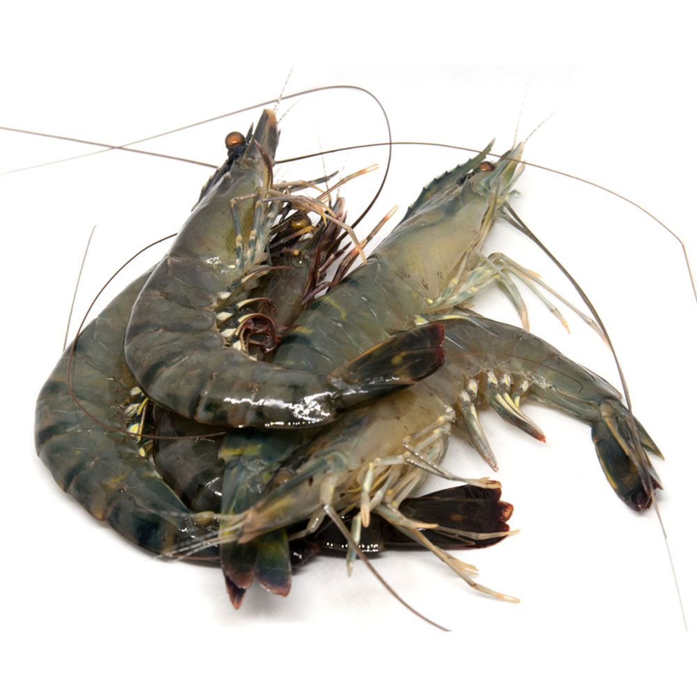 Para Shrimp / បង្គារប៉ារ៉ា (Around 500g)