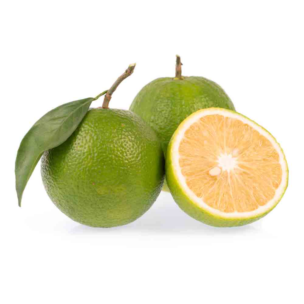 Orange Pusat / ផ្លែក្រូចពោធិ៍សាត់ បាត់ដំបង (12Pcs)