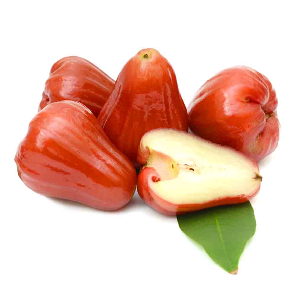 Wax Apple Thai / ផ្លែជម្ពូថៃ (Around 500g)