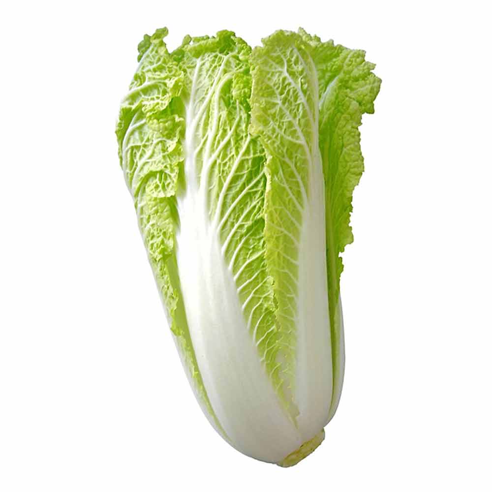 CABBAGE CHINESE (ស្ពៃបូកគោ)